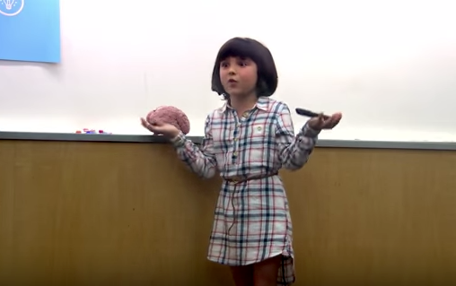 Barbie teaches the world girls can be anything they want – The Stable