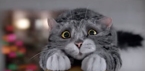 Sainsbury’s & AMV BBDO make 2015 a Mog Christmas – The Stable