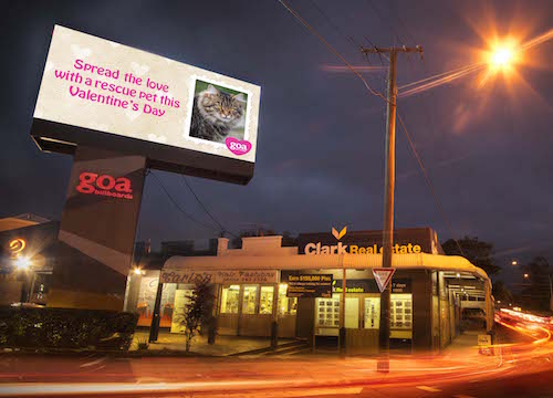Goa Billboards’ wants you to find real love on Valentine’s Day – The Stable