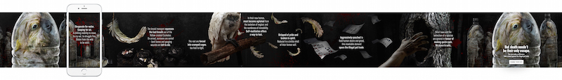 Experience animal smuggling’s cycle of death. It’s Possible. – The Stable