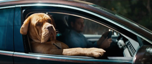 VW: stories that make you go, Aaah – The Stable