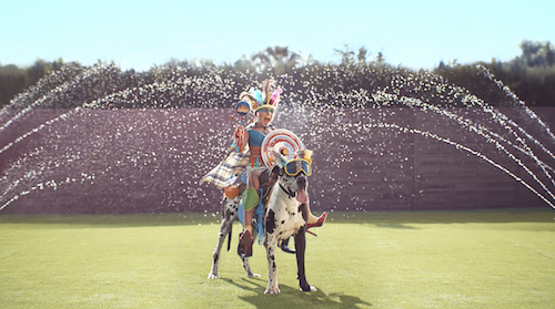 Creature & Blink create photo gold for Photobox – The Stable