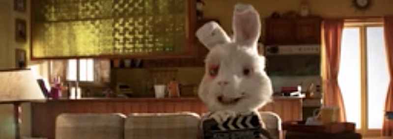 Taika Waititi becomes a bunny to stop cosmetic animal testing – The Stable