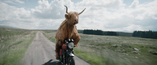 VCCP London & Virgin Media: Did you notice? There’s a cow riding a ...