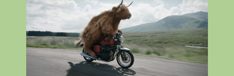 VCCP London & Virgin Media: Did you notice? There’s a cow riding a ...