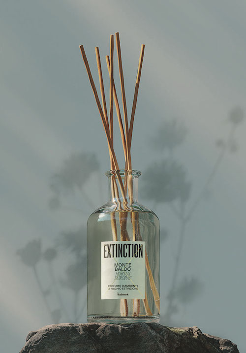 Auge & Italmark: The room scent aiming to save the environment – The Stable