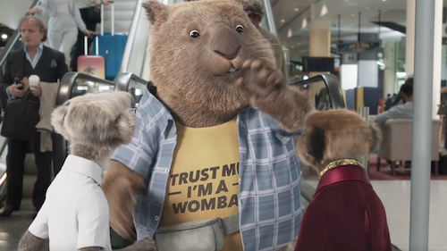 VCCP & Comparethemarket: Hello Carl, the wombat – The Stable