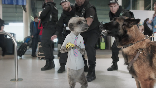 VCCP & Comparethemarket: Hello Carl, the wombat – The Stable