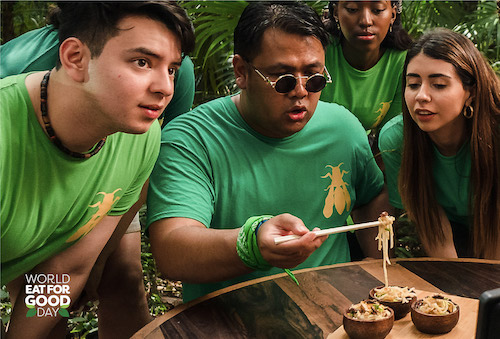 IPG & Knorr: Would you dare to eat insects? – The Stable