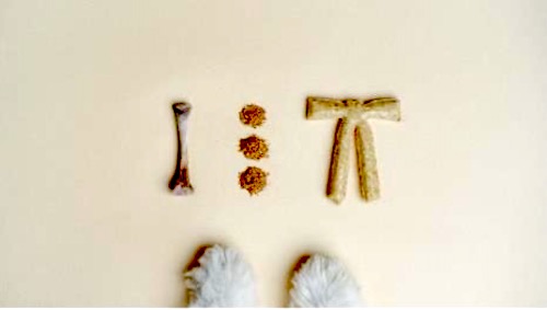 Wunderman Thompson & KFC Thailand: The chicken bones that are safe for ...