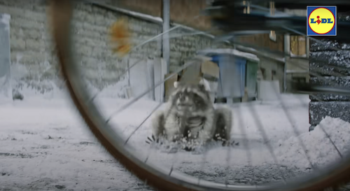 Lidl: This Christmas’ most joyful kindness story stars a racoon – The ...