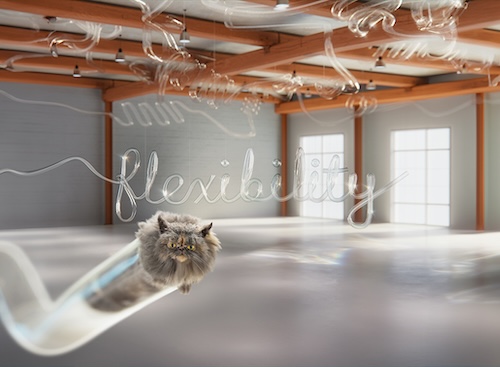 BBH Singapore & Publicis: A very funny cat video makes Income Insurance ...