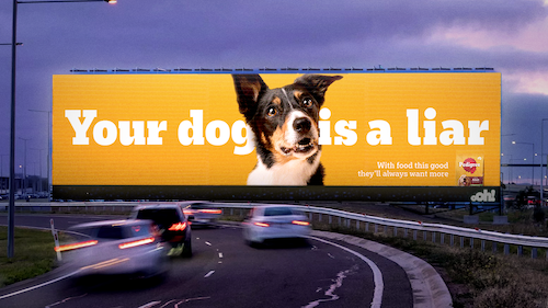 Colenso BBDO & Pedigree: The world’s first lie detector for dogs – The ...